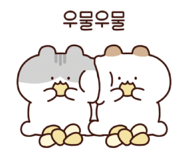 [CUPANG 내돈내산 REVIE.] 가벼운 아이폰 15 pro 케이스를 원하신다면 +a 베이식스 USB OTG 젠더