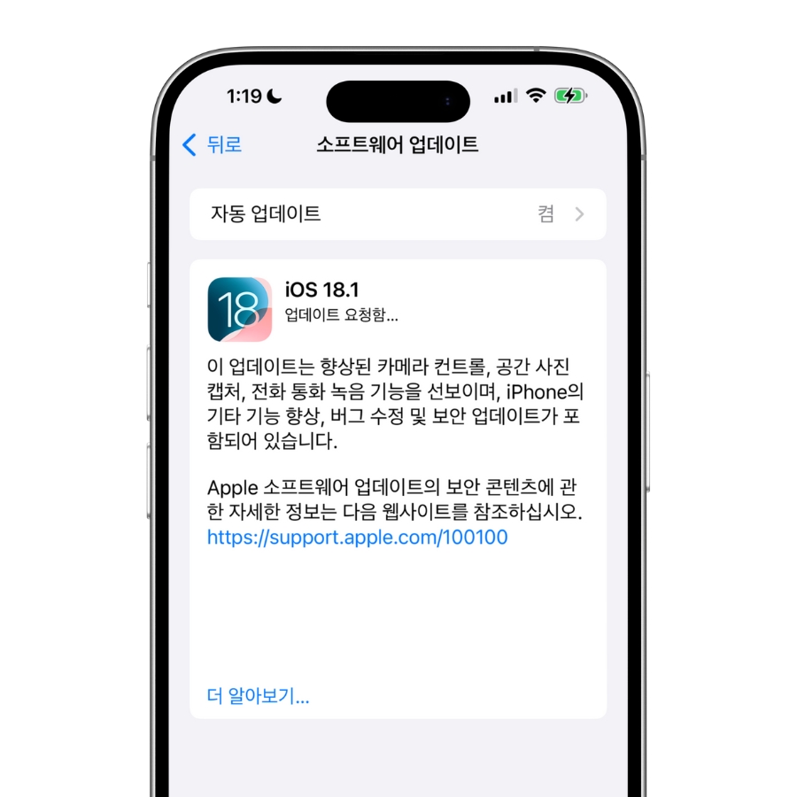 아이폰 업데이트(iOS18.1) 클린업 AI 지우개 기능 사람 지우기 모자이크 가능!