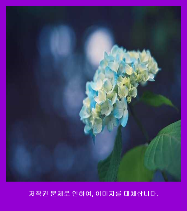 Apple 아이폰 12 Pro (e08ab800-f526)