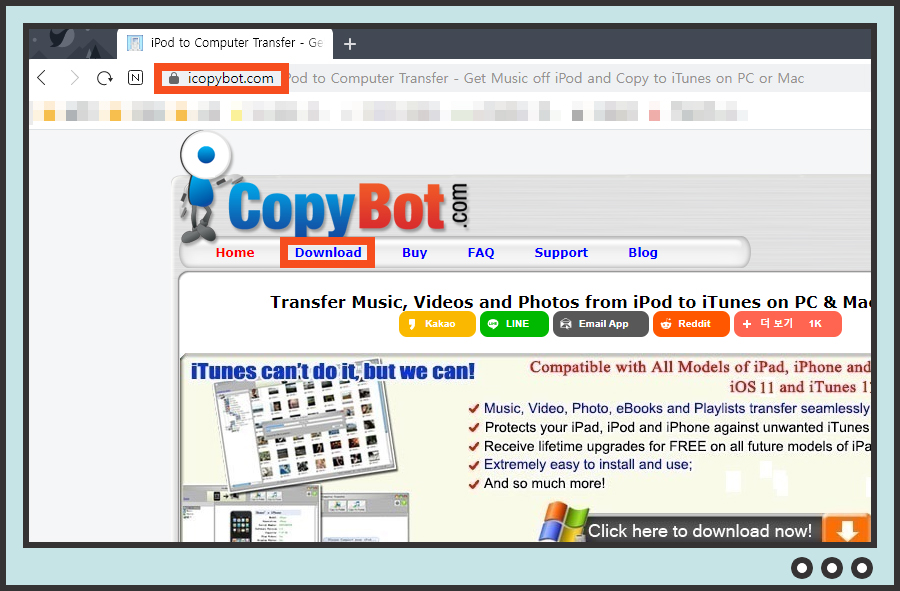아이폰 배터리 성능 확인 아이폰꿀팁 icopybot 조금 더 자세히 알아봐