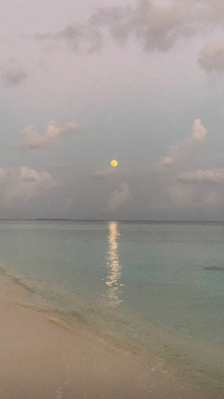 아이폰 갤럭시 기본 고화질 배경화면깔끔 심플 특이한 외국 귀여운 분위기 단색 동그라미 아이보리 베이지 핑크 자연 그린 카톡 인스타 하이라이트 커버 프사 꾸미기 짤 텀블러이미지