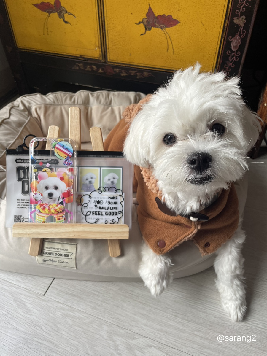 [Doef doef(도포도프)반려동물 커스텀 케이스]강아지케이스,고양이케이스,커스텀케리이스,아이폰12케이스,아이폰케이스,갤럭시 ...