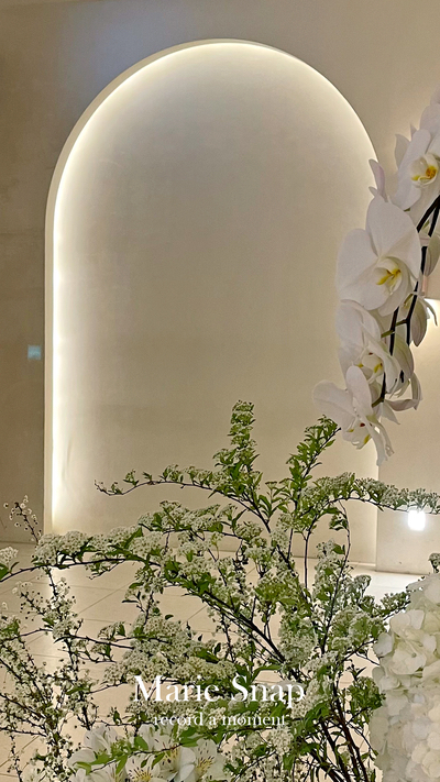 대전 아이폰 서브스냅 Marie Snap | beginning marie