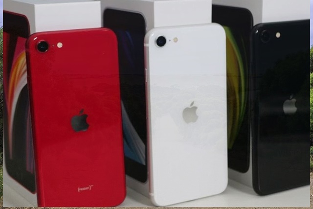 아이폰 se2 카메라 감성 있는 느낌 좋아요!